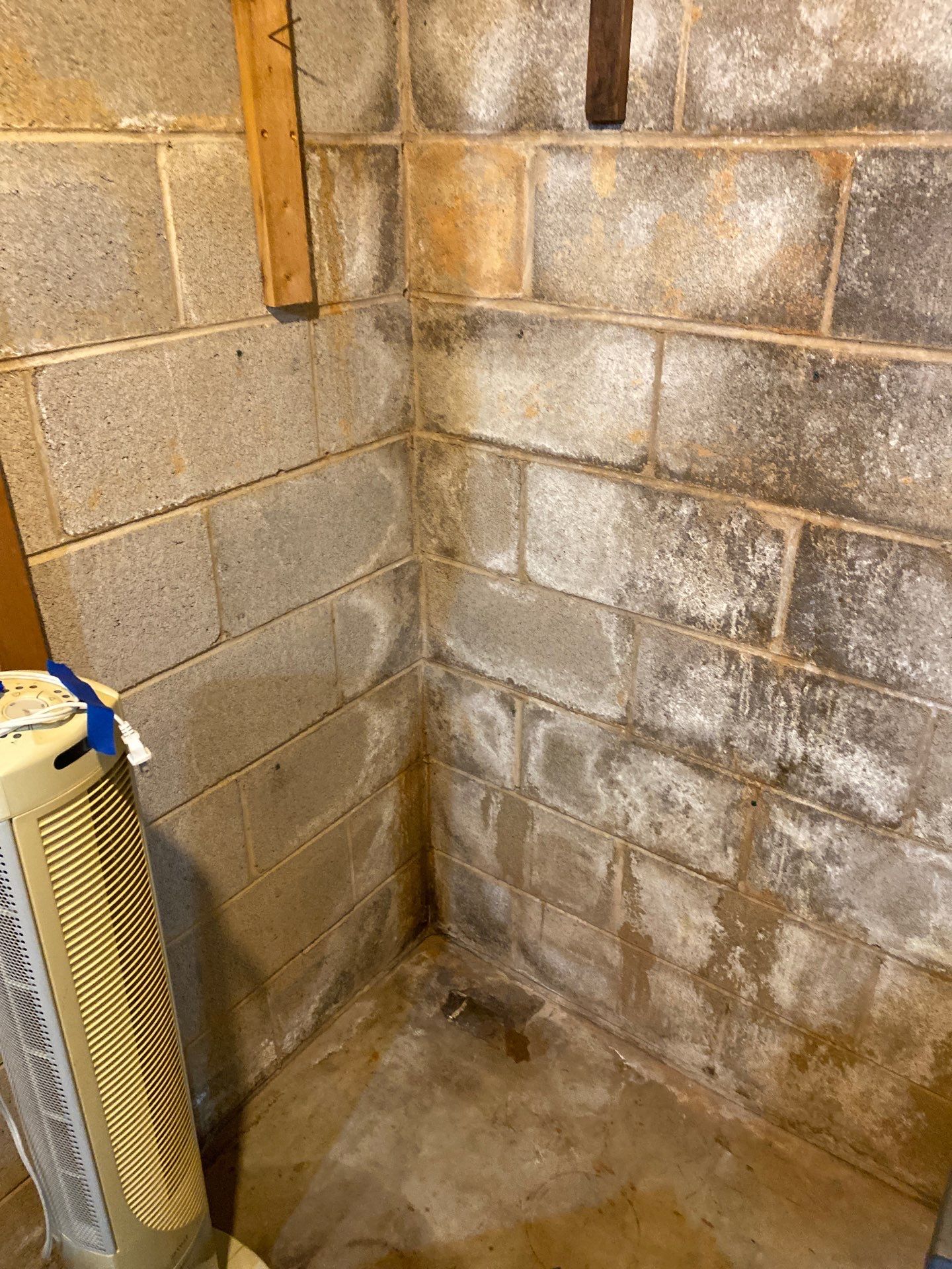 Keeping It Dry: Essential Tips for Maintaining a Healthy Basement ...