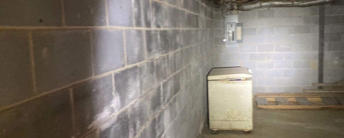 Recognizing the Red Flags: Signs of Water Damage in Your Basement ...